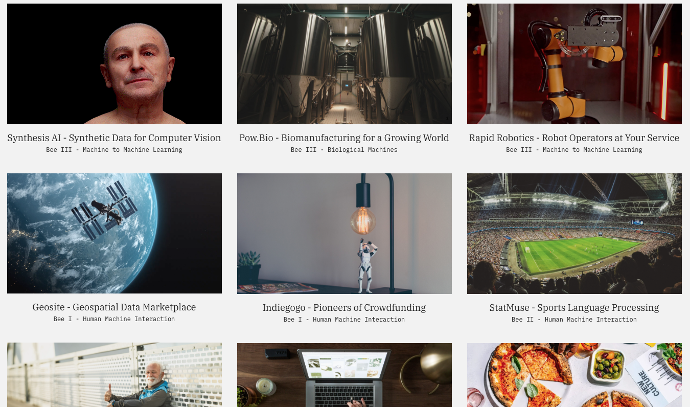 Bee Partners Portfolio